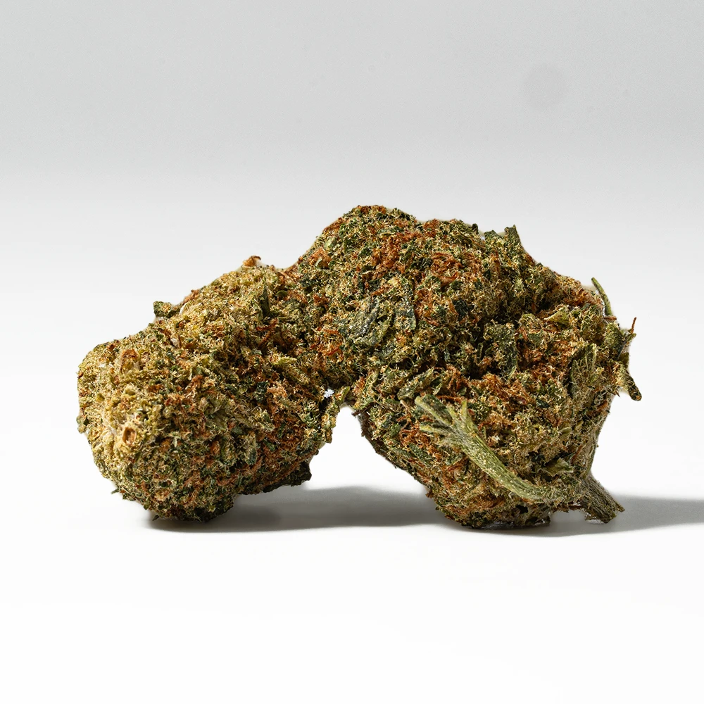Penelope (AA) – Cannabis Canada Shop